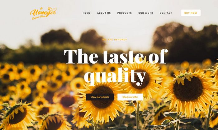 The best parallax scrolling website templates you can use