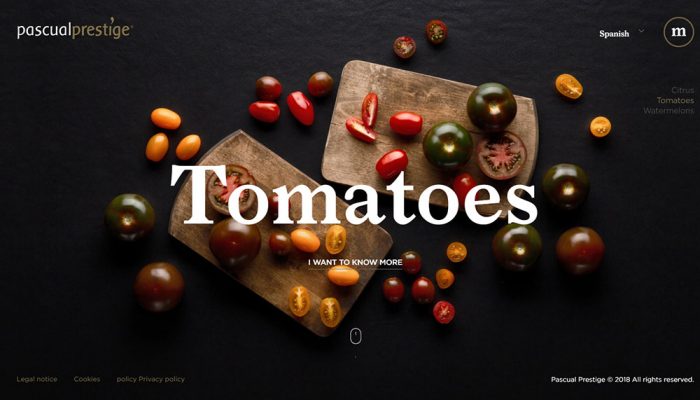 Where to Get A Cool Website Header Image and Tips for Choosing One