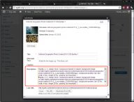 How to Make Fewer HTTP Requests on Your WordPress Site