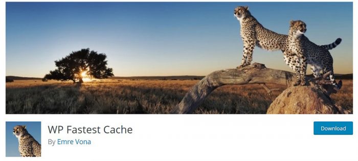 How to Add Expires Headers in WordPress (Easy to Follow Guide)