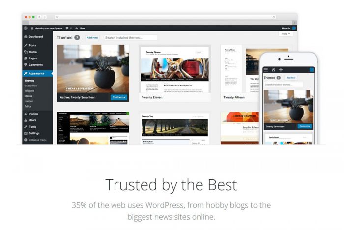 WordPress interview questions you need the answers to