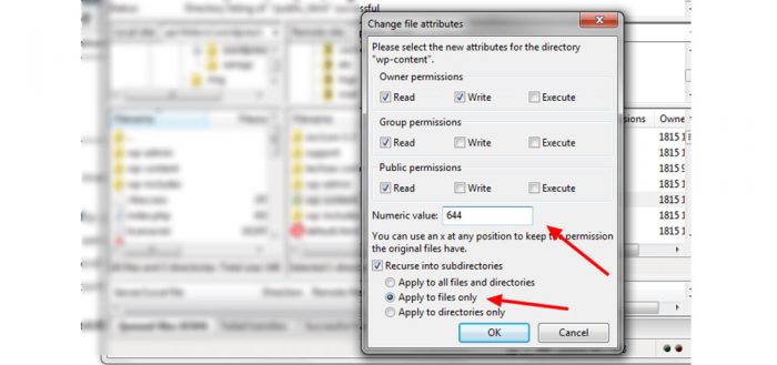 WordPress Failed to Import Media: What to Do Now?