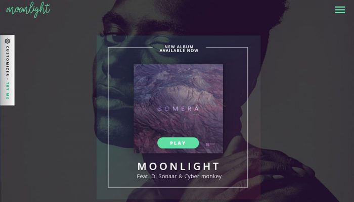 The Best WordPress Themes for Musicians to Choose From
