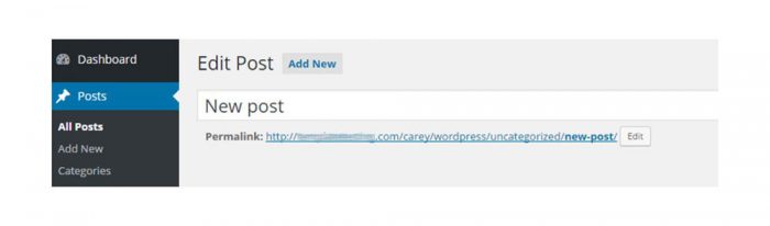 How To Remove the Category From the WordPress URL