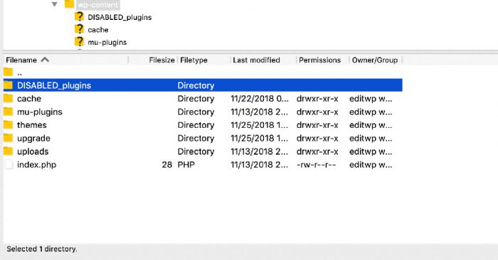 Locked Out of WordPress? Here's How to Fix the Issue