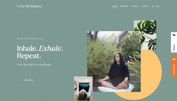 Top Wellness Websites with Appealing Web Design