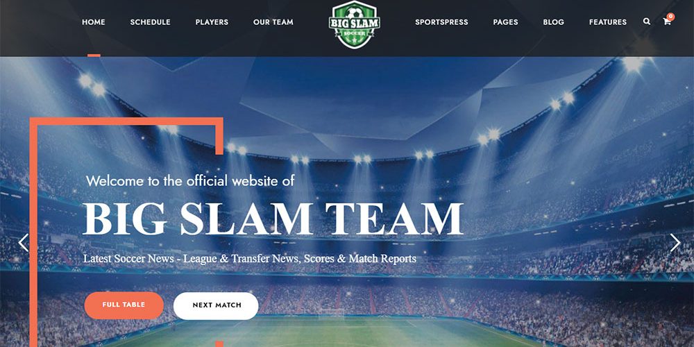 The Best Sports WordPress Theme Examples You Could Use for Your Website
