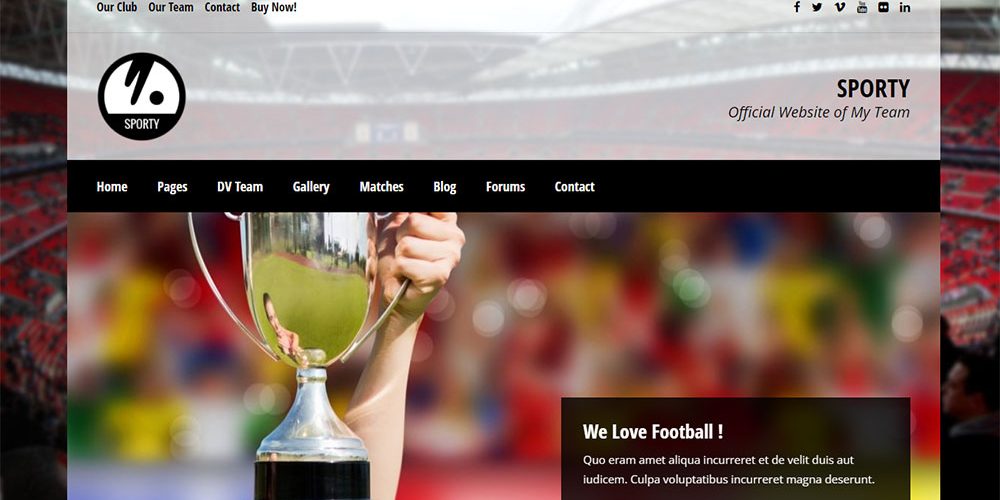 The Best Sports WordPress Theme Examples You Could Use for Your Website