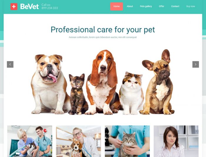 Veterinarian Website Design Examples That Look Great