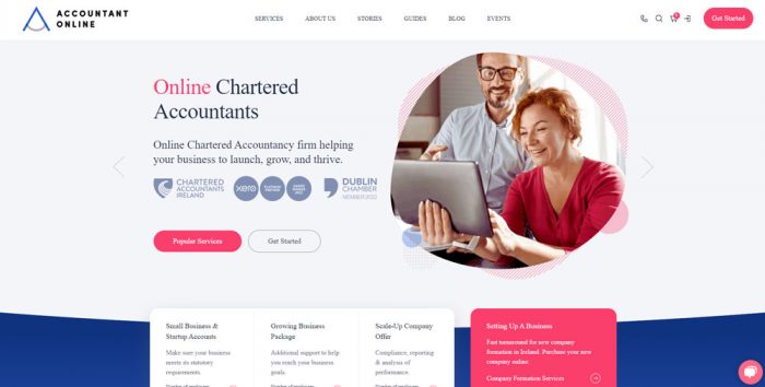 Clean Accountant Website Design Examples