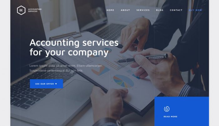 Clean Accountant Website Design Examples