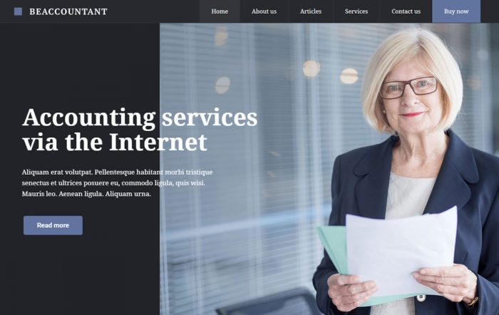 The Cleanest and Classiest Accountant Website Designs