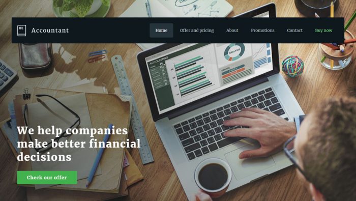 Clean Accountant Website Design Examples