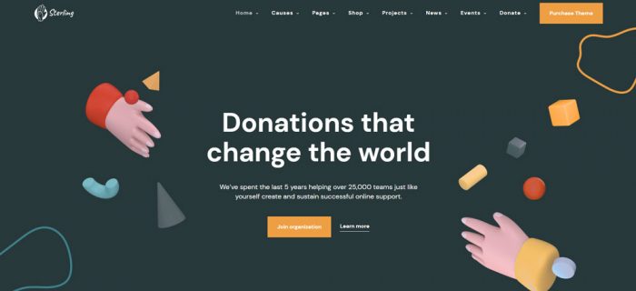 Impressive Looking Charity Website Design Examples