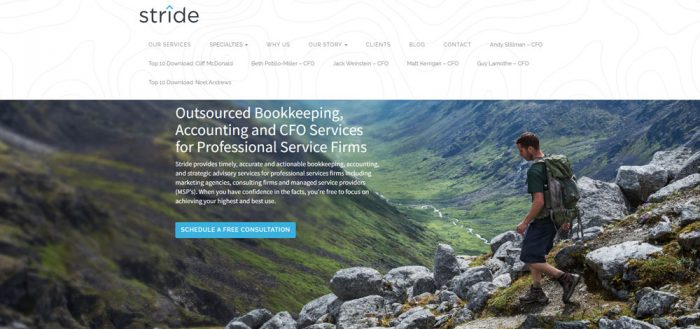 Clean Accountant Website Design Examples