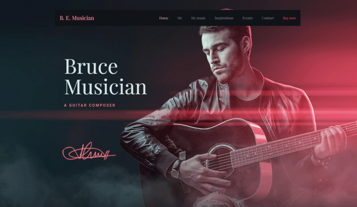 Websites for Singers to Take as an Example When Designing