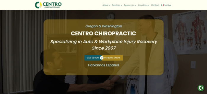 Modern Chiropractic Website Design Examples