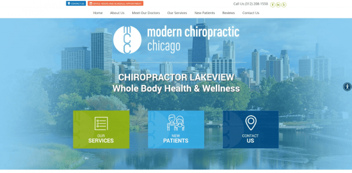 Modern Chiropractic Website Design Examples