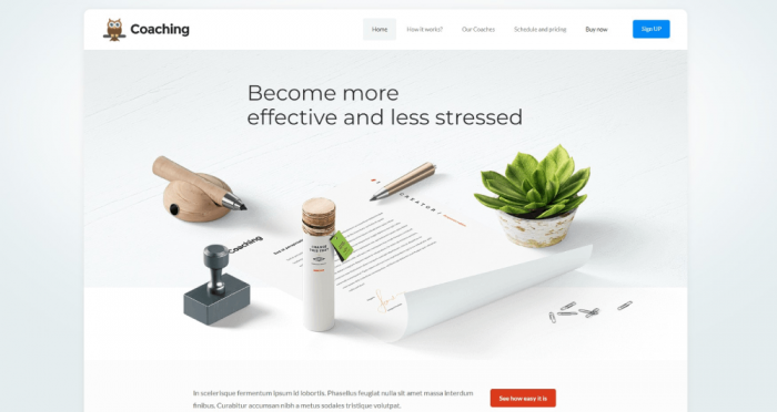 Coaching Website Design Examples That Attract Clients
