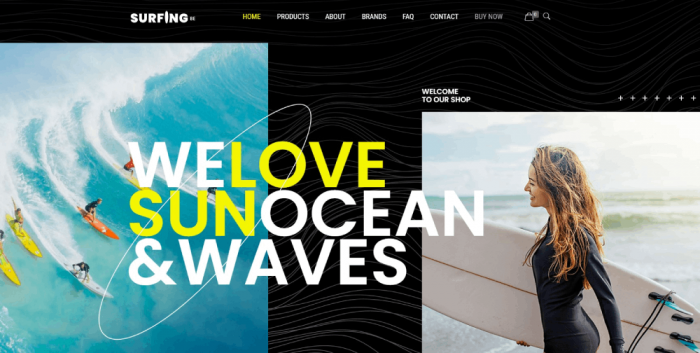 Surfing Website Design Examples That Make Waves