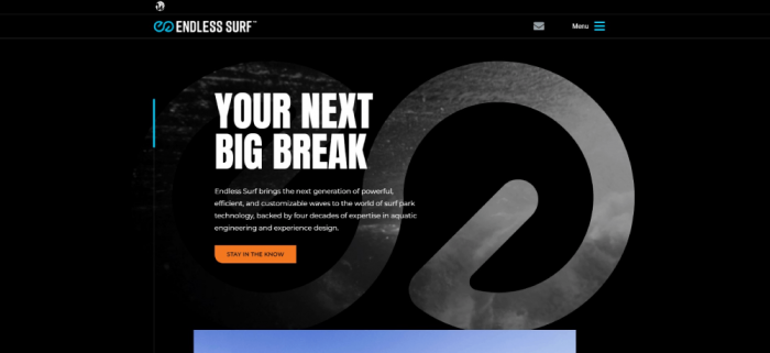 Surfing Website Design Examples That Make Waves