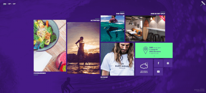 Surfing Website Design Examples That Make Waves