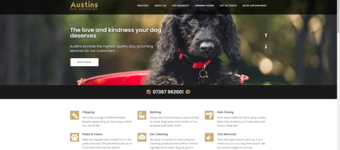 Neat Dog Grooming Websites For Designers To Check Out