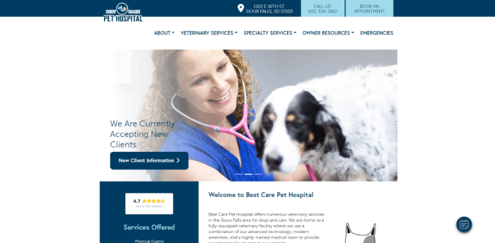 Great Pet Care Website Design Examples