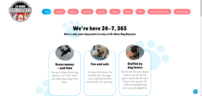 Modern Dog Grooming Website Design Examples to Inspire
