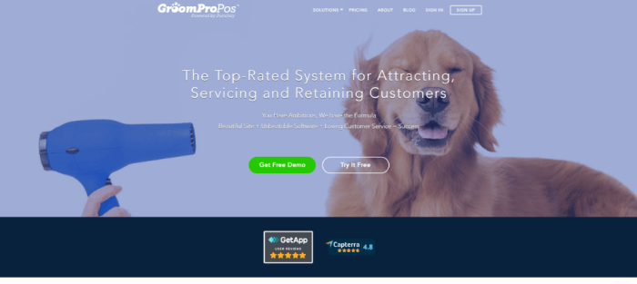 Neat Dog Grooming Websites For Designers To Check Out