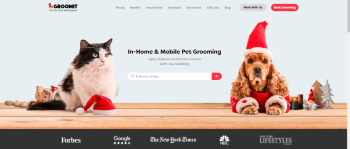 Modern Dog Grooming Website Design Examples to Inspire