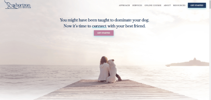 Neat Dog Grooming Websites For Designers To Check Out