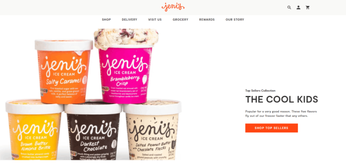 Cool Ice Cream Website Design Examples to Inspire You