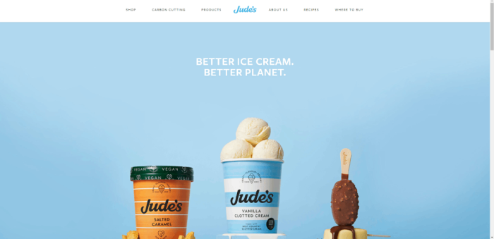 Cool Ice Cream Website Design Examples to Inspire You