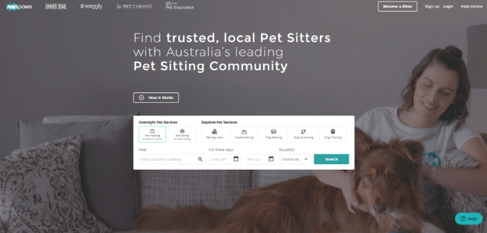 Great Pet Care Website Design Examples