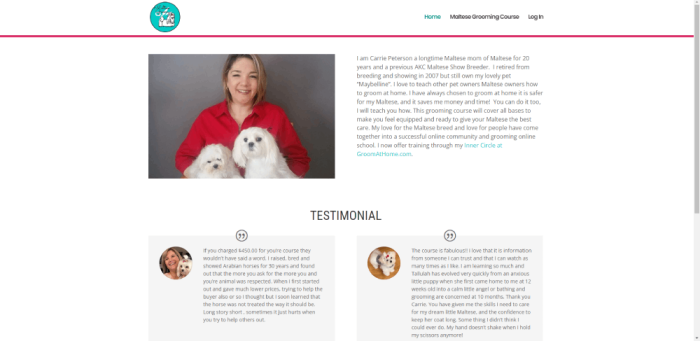 Modern Dog Grooming Website Design Examples to Inspire