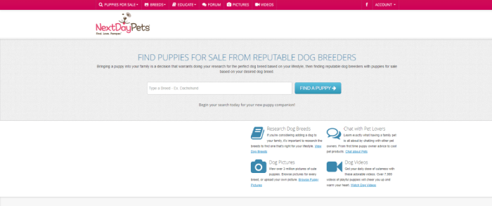 Great Pet Care Website Design Examples