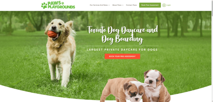 Neat Dog Grooming Websites For Designers To Check Out