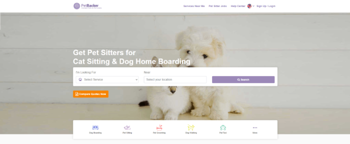Great Pet Care Website Design Examples