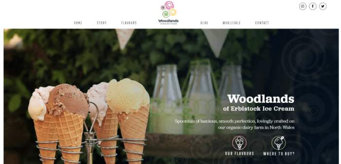 The Best Looking Ice Cream Websites to Check Out