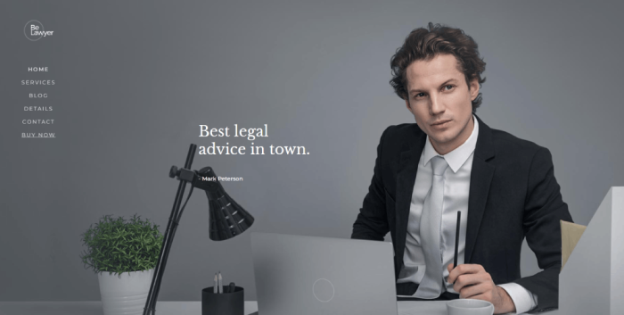Lawyer Website Design Examples That Build Trust