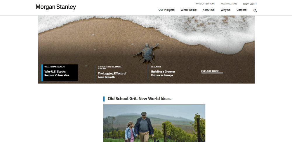 Finance Website Design Examples to Ignite Your Creativity