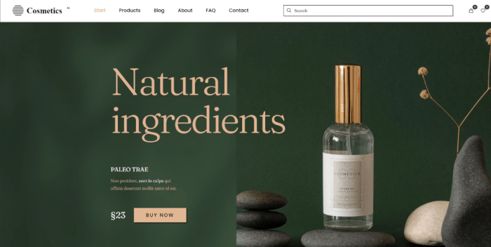 Examples of Cosmetics Websites with Great Web Design