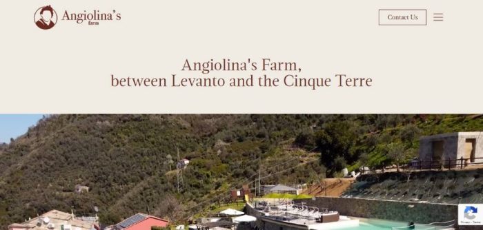 Plowing Through the Web: Exemplary Farm Websites