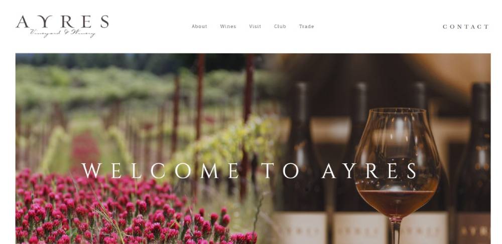 Wine websites store