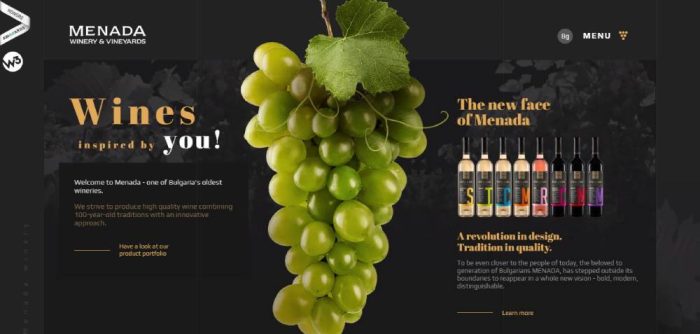 Outstanding Winery Website Design Examples You Should Visit