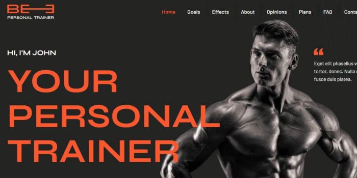 Showcasing Premium Website Design Examples