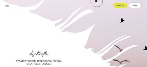 Elegant Website Design Examples