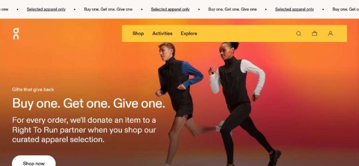Showcasing Premium Website Design Examples