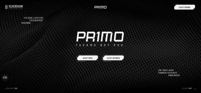 Showcasing Premium Website Design Examples